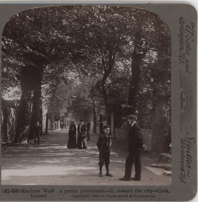 Mardyke Walk Promenade toward the City Cork Ireland Underwood ...