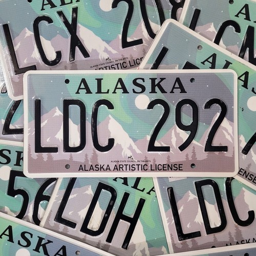 ALASKA LICENSE PLATE 🔥FREE📬🔥 1 ARTISTIC DESIGN (LIGHT) w/RANDOM LETTERS ...