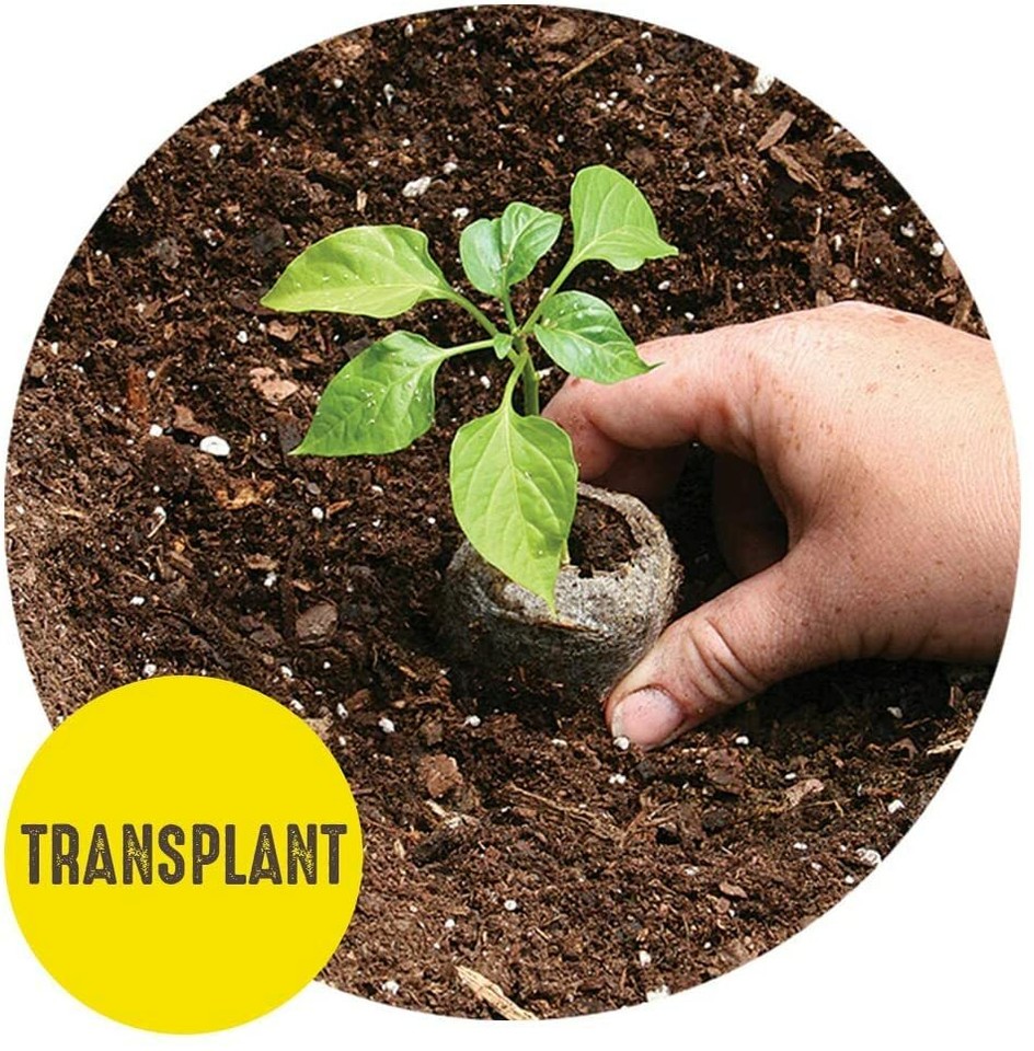 50mm Jiffy Peat Pellets, FAST SHIP Sold sets of 10,25,50,100,486 Seed ...