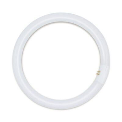 REPLACEMENT BULB FOR FLOXITE T5-22W 22W Zadro, Rialto FC22 LAMP | eBay