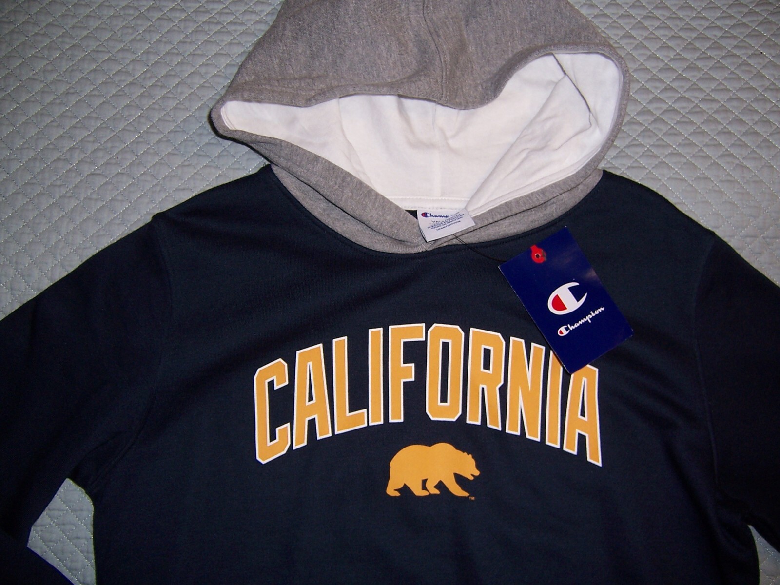 Champion University of California Golden Bears Hoodie Sweatshirt M ...