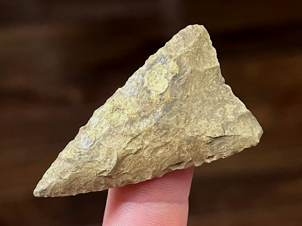 EXCEPTIONAL PALEO EARLY TRIANGLE POINT TEXAS AUTHENTIC ARROWHEAD ...