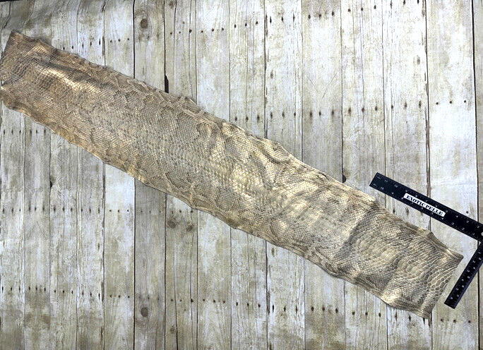 Gold tint on Burmese Python Genuine Snake Leather real hide snake skin ...