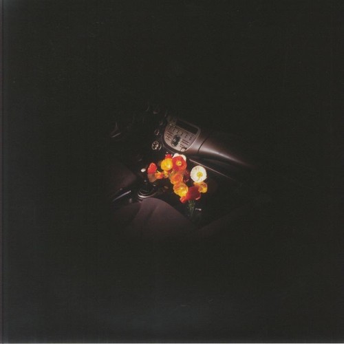 VERITY DEN - Wet Glass - Vinyl (LP) 859739001655 | eBay UK