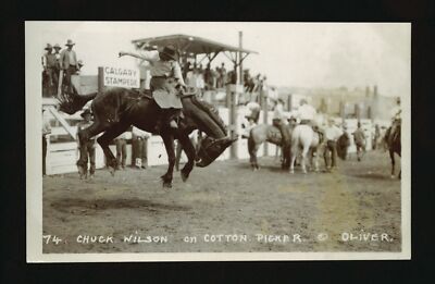 Chuck Wilson on Cotton Picker a cowboy riding a saddled bucking b- Old ...
