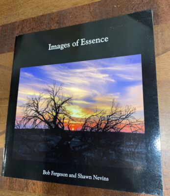 Images of Essence 9780986445705| eBay