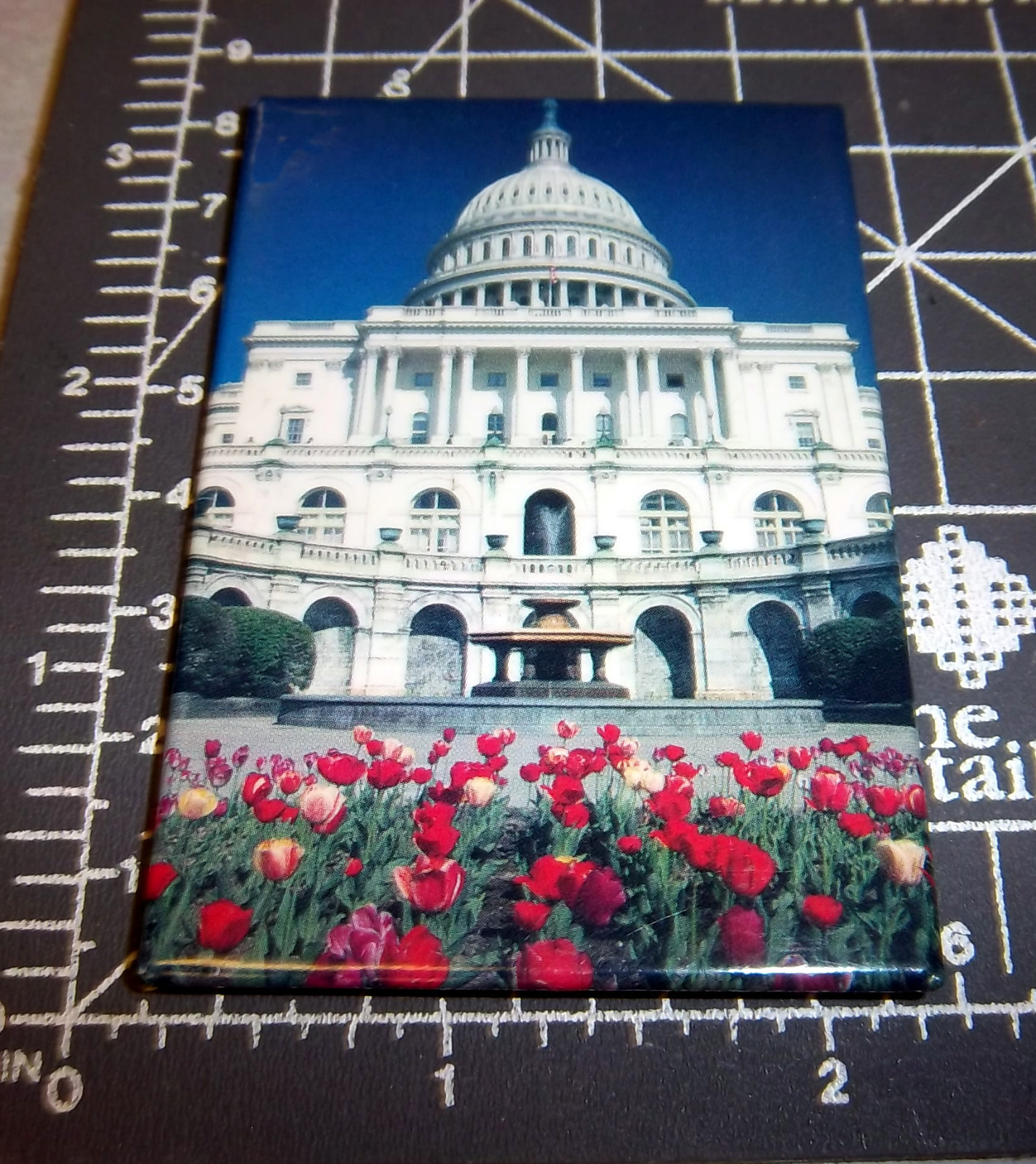 Washington D.C. capital building photo souvenir magnet 3" tall great ...