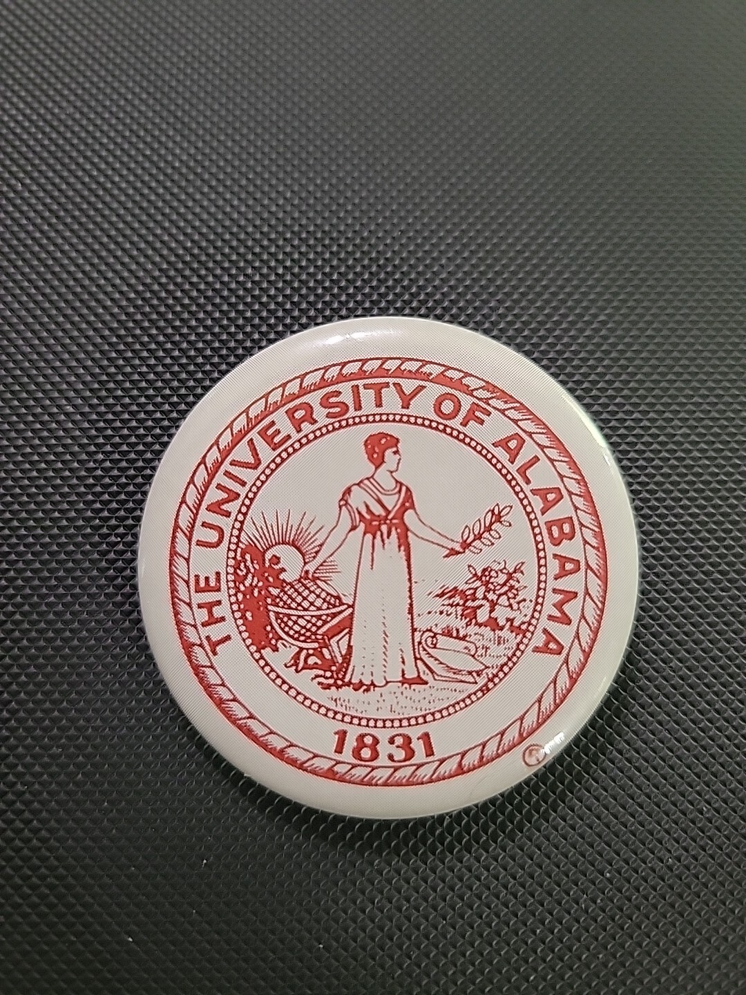 Vintage 80's University Of Alabama 1831 Seal Button Rare Pride Pin | eBay