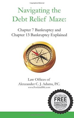 Navigating the Debt Relief Maze: Chapter 7 Bank. Adams, Seitzer