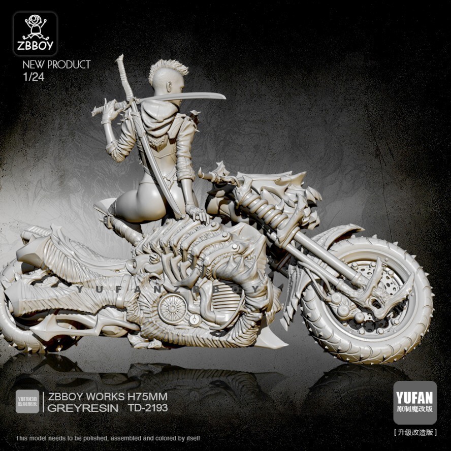 1/24 resin figures model Demon Bone Punk Female Knight Unassembled ...