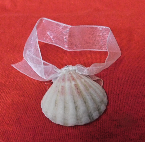 Peace Shell with Ribbon | eBay