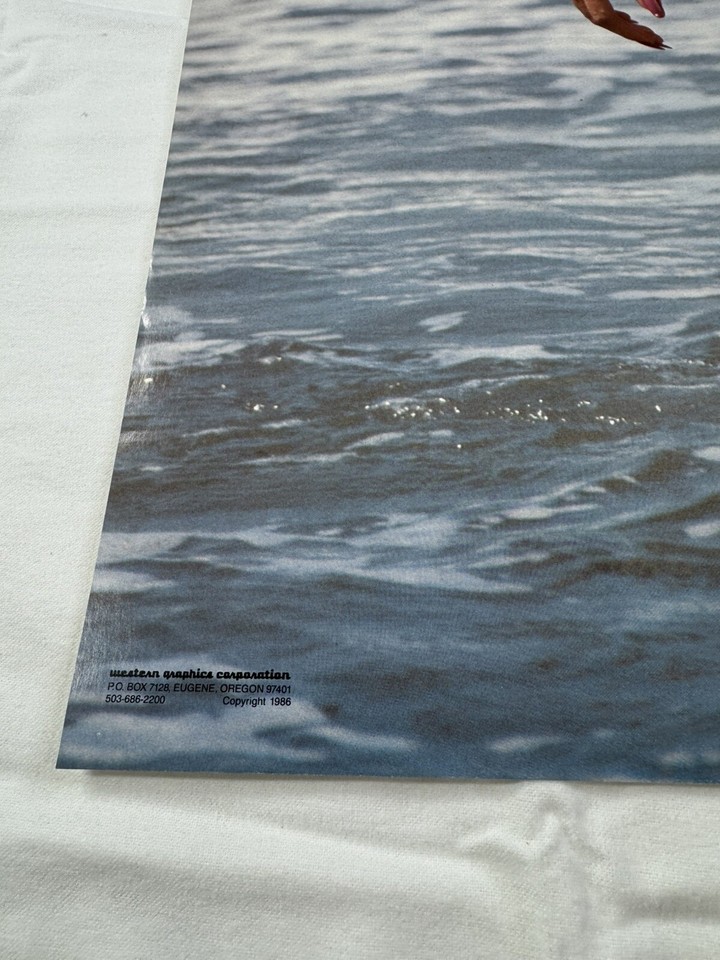 Leslee Bremmer - 1986 Beach Poster 21x32” Celebrity Vintage Pinup Model ...