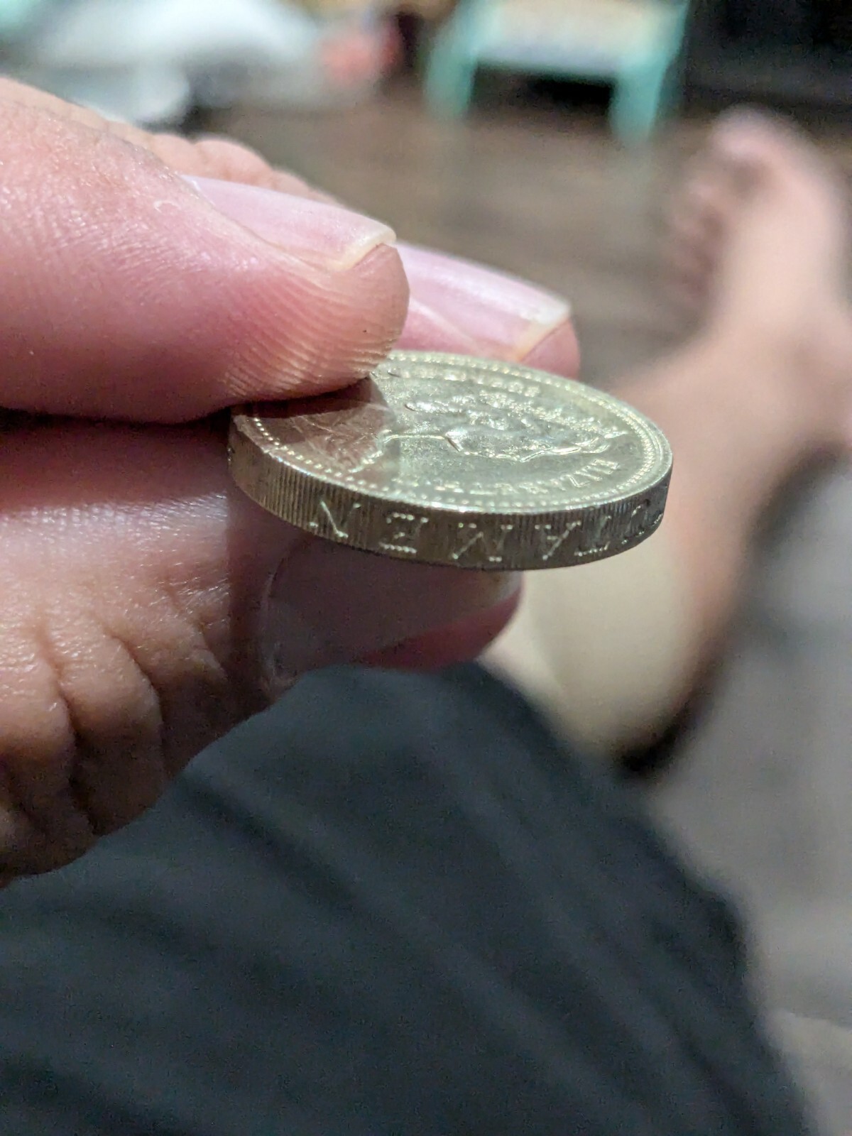 1983 QUEEN ELIZABETH II ONE POUND COIN WITH UPSIDE DOWN LETTERING ON ...