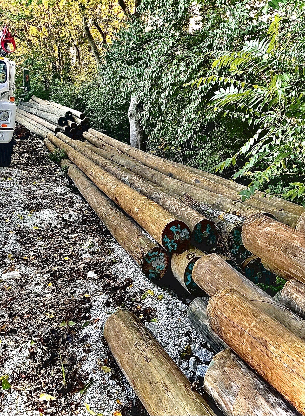 Utility Pole For Sale, Telephone Pole For Sale | eBay