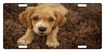 COCKER SPANIEL DOG Custom License Plate CANINE BREED Emblem Puppy ...