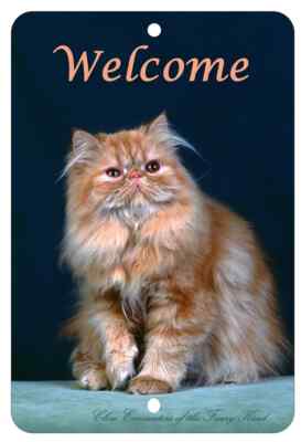 Persian Red Tabby Aluminum Indoor/Outdoor Welcome Sign | eBay