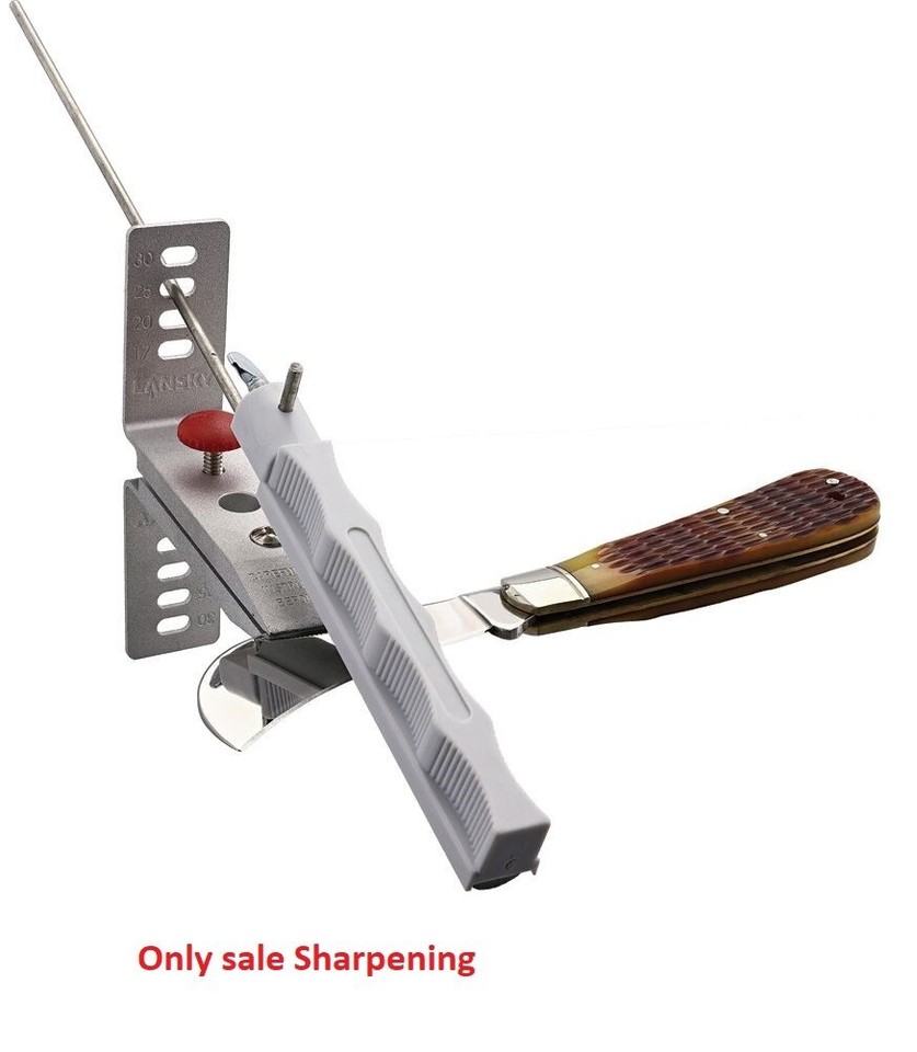 Lansky System Ultra-fine 1000 Grit Stone Used For Sharpening Curved ...