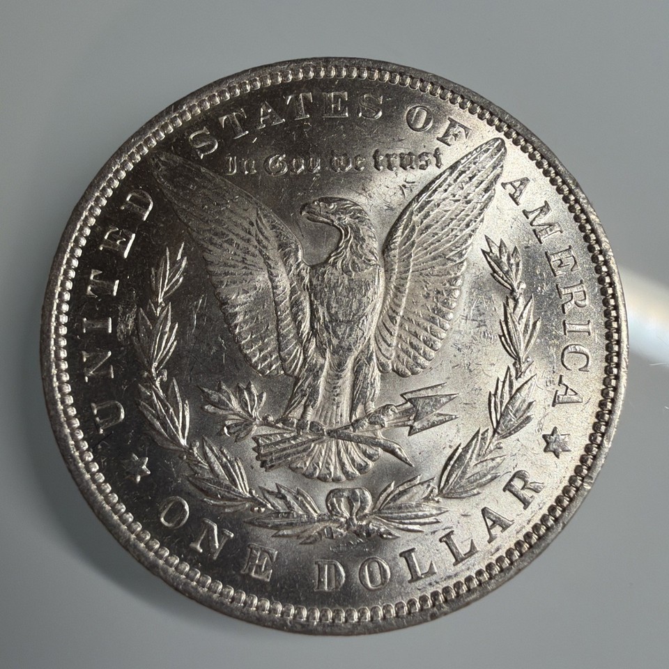 1891 P MORGAN SILVER DOLLAR! BEAUTIFUL UNCIRCULATED Coin! | eBay