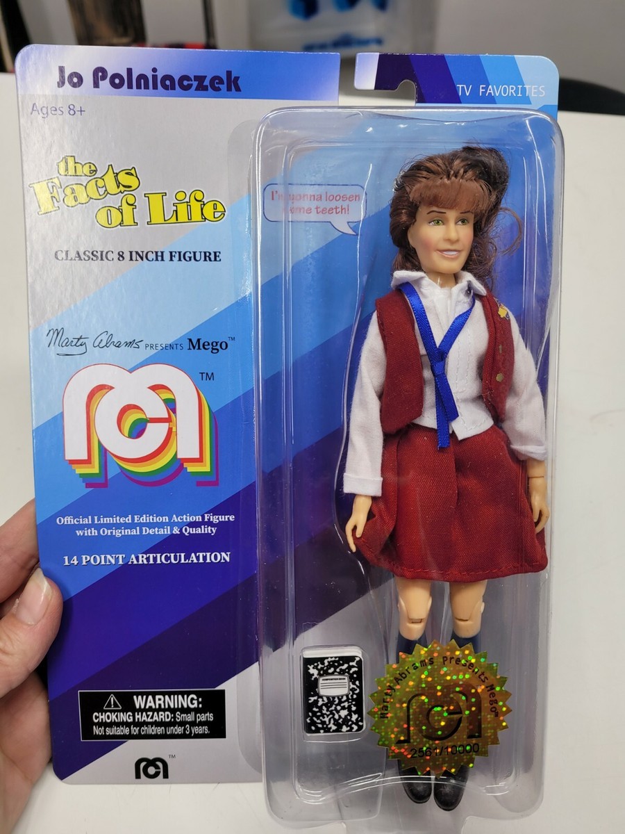 Joe Facts Of Life Whatever Happened To The Discarded Cast Of "The