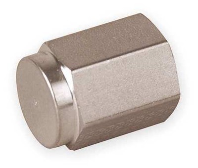 Parker 6 Cp-Ss 3/8" Fnpt 316 Ss Cap | eBay