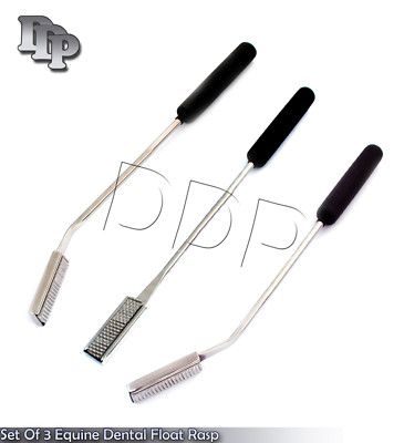 NEW PREMIUM EQUINE DENTAL FLOAT-RASP HORSE VETERINARY INSTRUMENTS SET ...