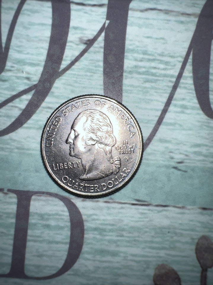 Painted quarters 1999-2001 | eBay