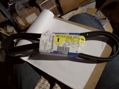 GENUINE GM 25183021 SERPENTINE DRIVE FAN BELT | eBay