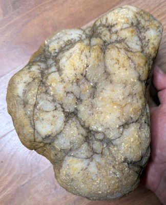 Fossilized Indiana Geode Quartz Crystal Whole Agate Brachiopod 8.5 Lbs ...