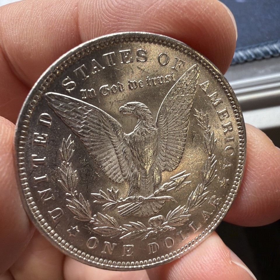 1891 P MORGAN SILVER DOLLAR! BEAUTIFUL UNCIRCULATED Coin! | eBay