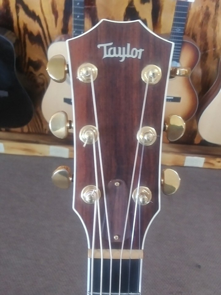 1997 Taylor 810-LTD w/OHSC | eBay