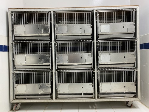 Lab Products Stainless Steel Small Animal Veterinary Box Cage Pen | eBay