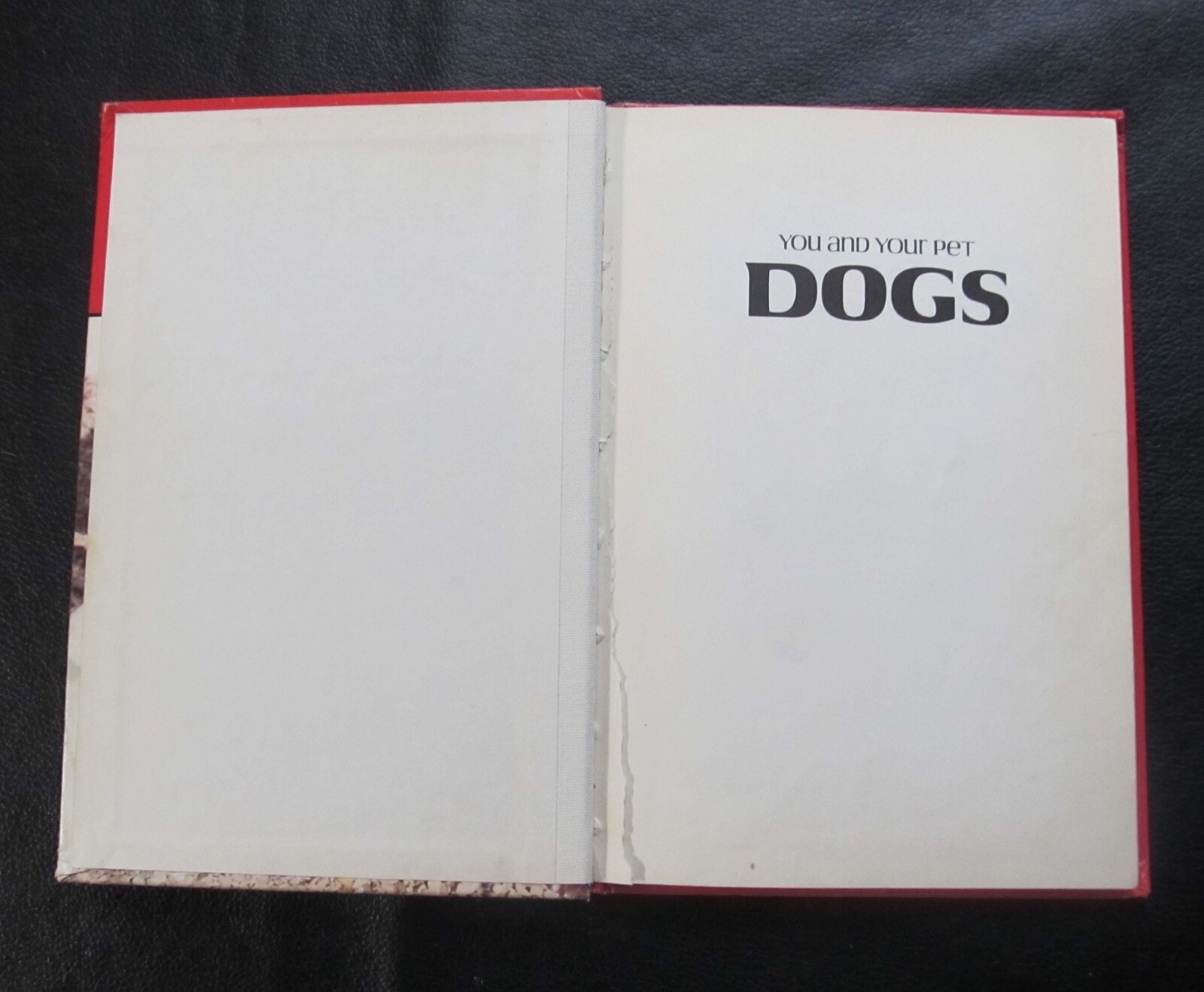 You And Your Pet : Dogs ~ Phil Steinberg ~ Lerner Publications ~ Ex ...