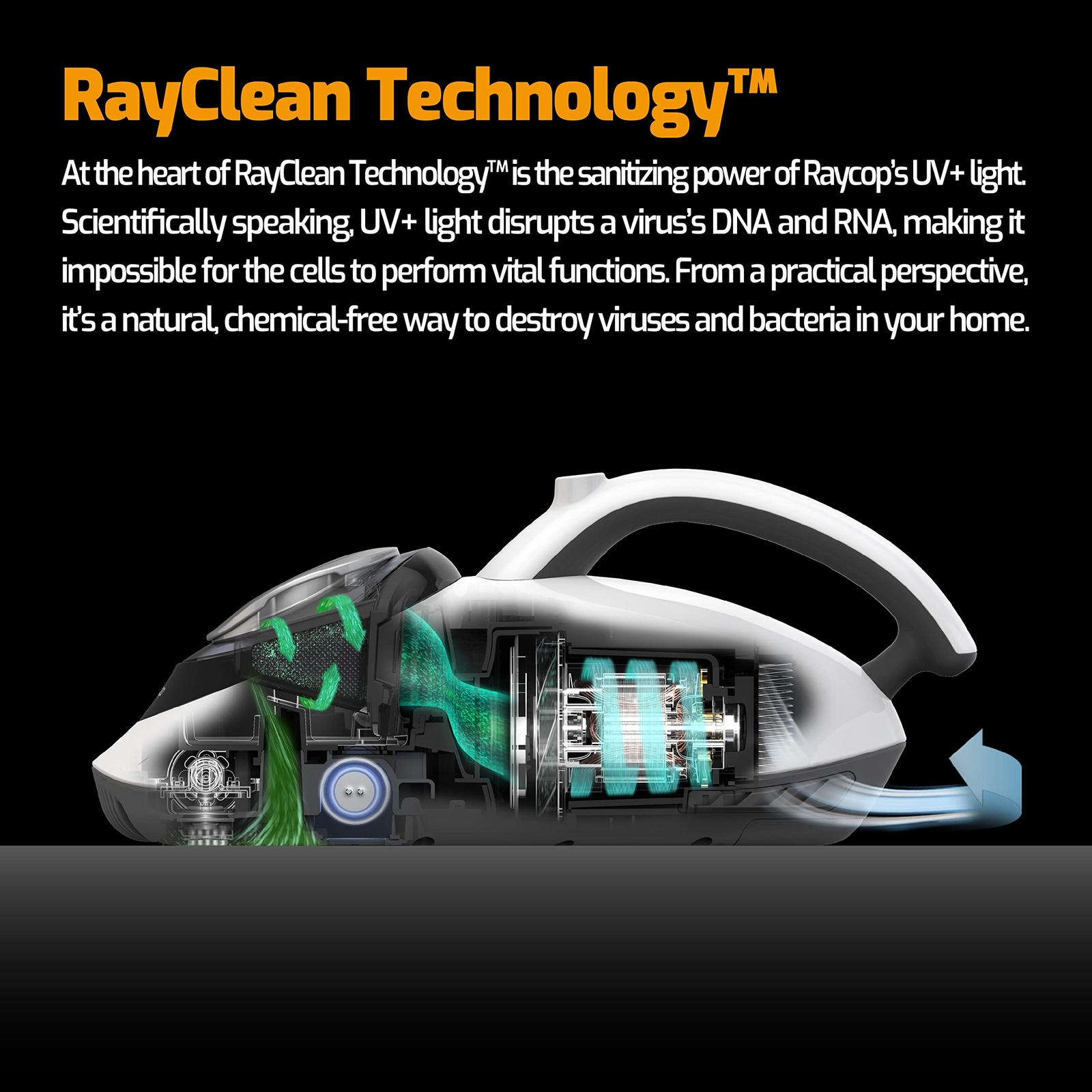 Raycop Lite UV Sanitizing HEPA Allergen Vacuum Effectively Removes Dust ...
