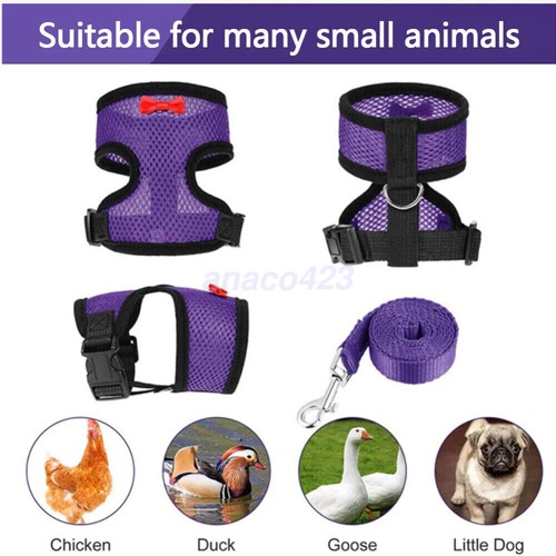 Chicken Harness with Adjustable Leash Small Pet Harness Duck Goose Hen ...