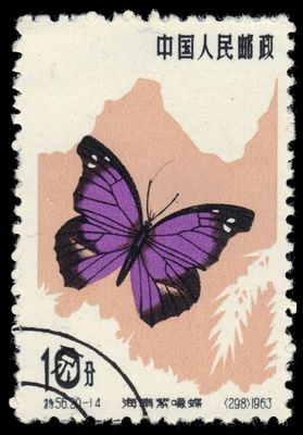 P.R. CHINA 674 (Mi734) - "Libythea geoffroy" Butterfly (pa58308) | eBay
