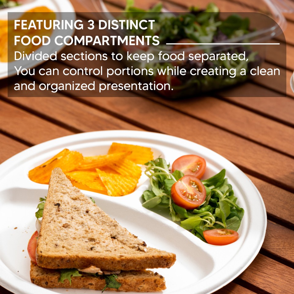 White Plastic Plates Reusable 3 Section & 6 Section Plates For Catering ...