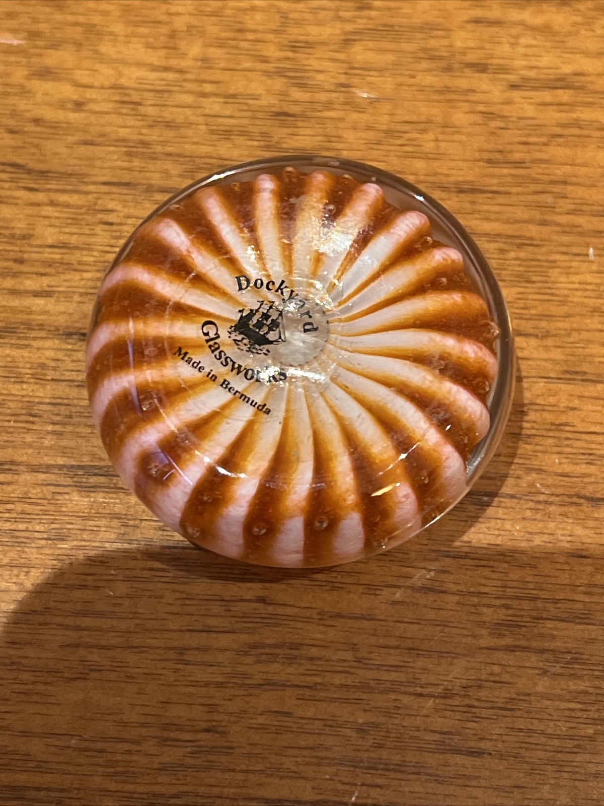 Dockyard Glassworks Bermuda Sea Urchin Orange/Brown Paperweight | eBay
