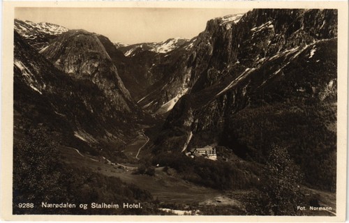 CPA AK Naerodalen fra Stalheim NORWAY (1364742) | eBay