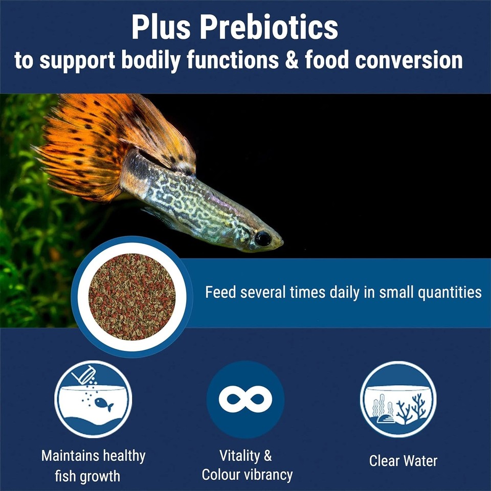 Tetramin Nutritionally Balanced Tropical Flake Food for Tropical Fish ...