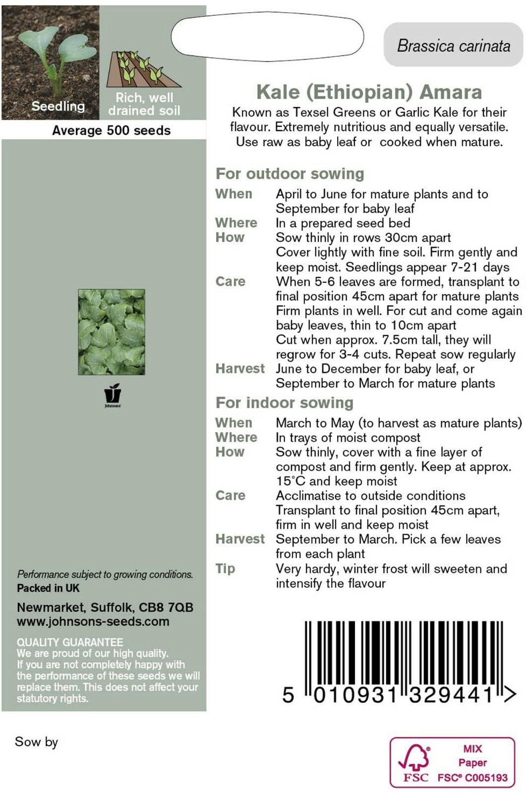 Kale Seeds Ethiopian Amara Johnsons FREE UK DELIVERY Brassica Carinata ...