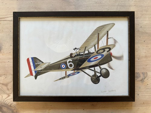 James Goulding painting SE5a james McCudden RAF WWI aircraft RFC | eBay