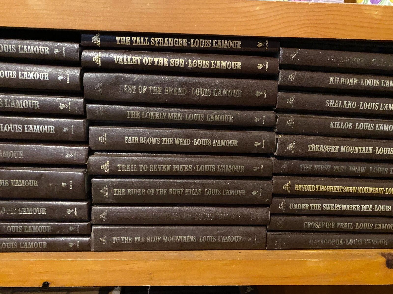 Louis L'Amour Western Leatherback Book- Fallon 9780593129906 | eBay