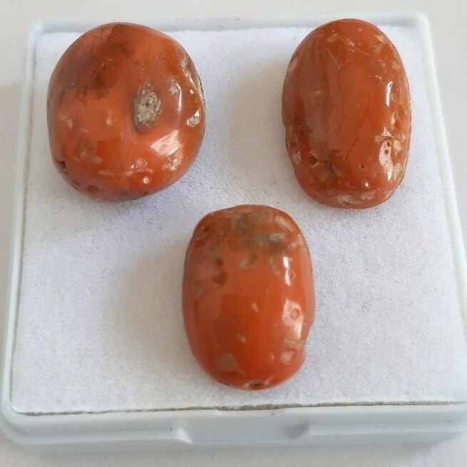 Beautiful Italian Orange Coral 100%Natural Sea Coral,3'Piece Oval Loose ...