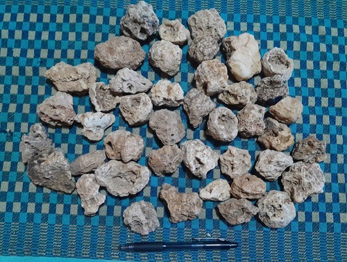 4 1/2 LBS (1 1/2"-2 1/2" L) TN Piney River Geodes Quartzite Rocks ...