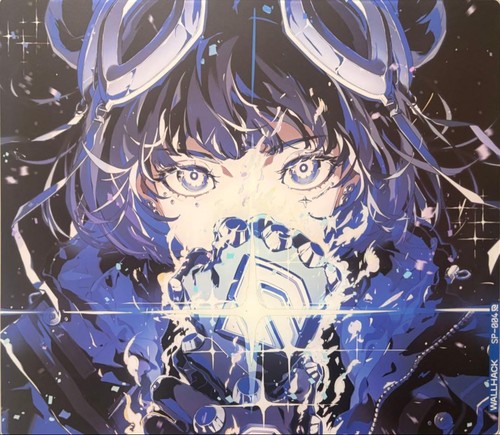 WALLHACK SP-004 GRAVITY YUME Glass Gaming Mouse pad Limited Edition | eBay