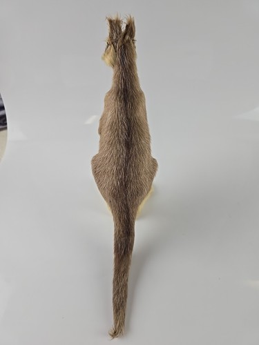 Vintage Kangaroo and Joey Baby Toy Figure Decoration Real Fur | eBay