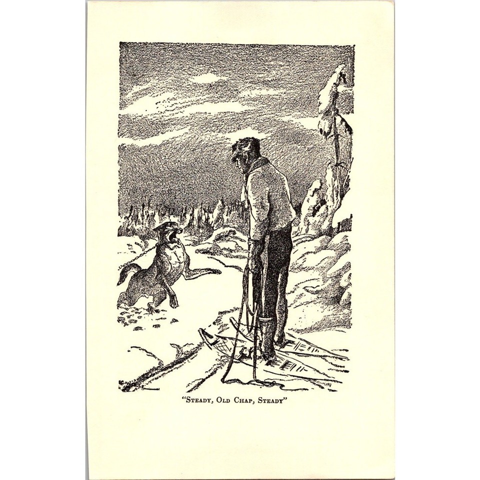 Steady Old Chap Steady 1933 Silver Chief Dog of the North Book Plate ...