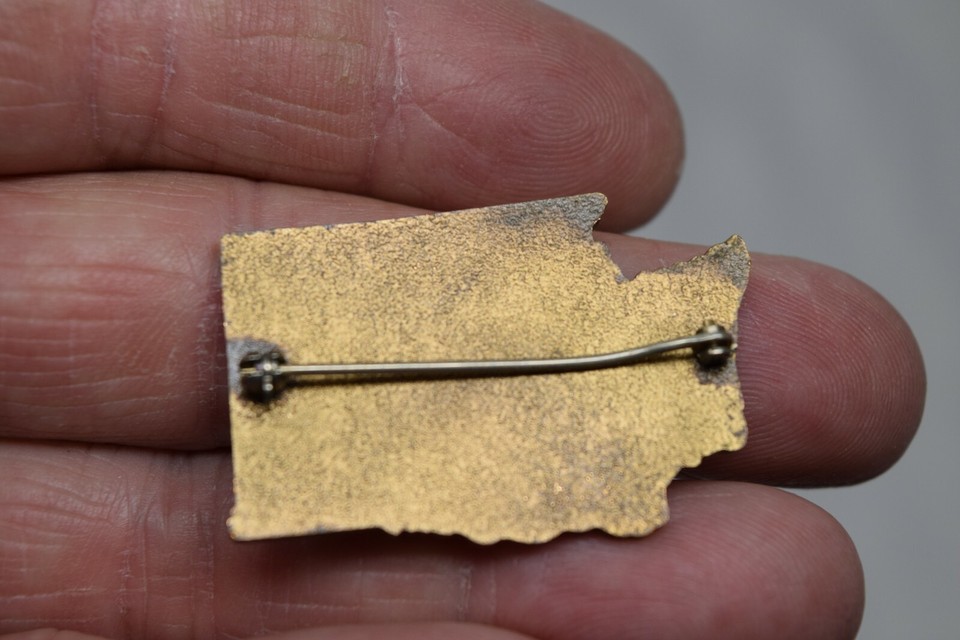 Vtg Past Grand Representative OES, Washington State, Pin | eBay