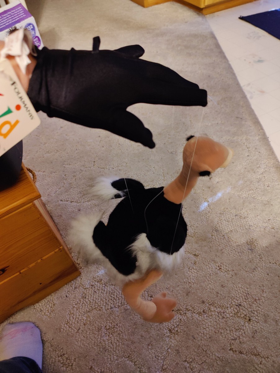 Ostrich Puppet Folkmanis Amazon.com: Folkmanis Emu Stage Puppet, Brown