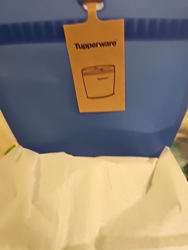 Tupperware Ultimate Silicone Bag Freezer Oven Microwave Safe Reuse Blue ...